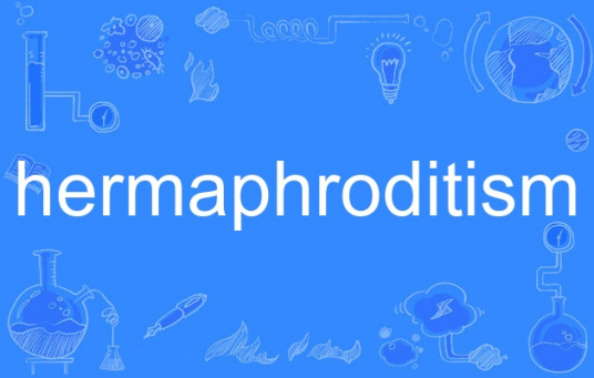 hermaphroditism（英语单词）_百度百科