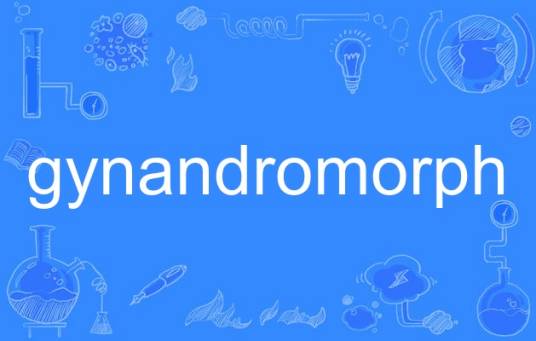gynandromorph_百度百科