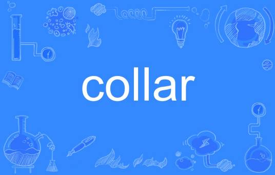 collar（英语单词）_百度百科