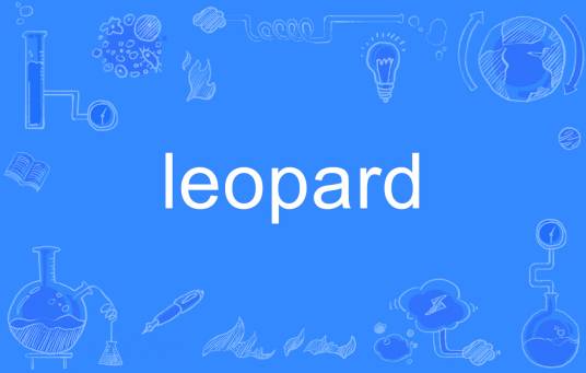 Leopard（英语单词）_百度百科