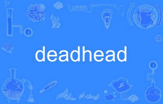 deadhead_百度百科
