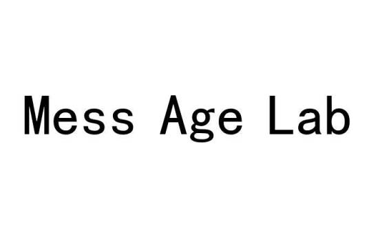 MESS AGE LAB_百度百科