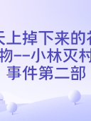 章泽天_百度百科