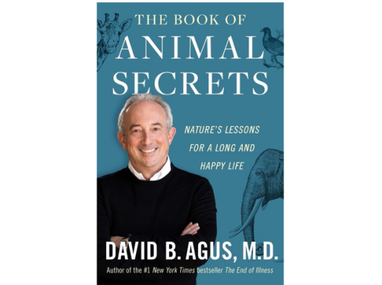 动物的秘密之书_百度百科