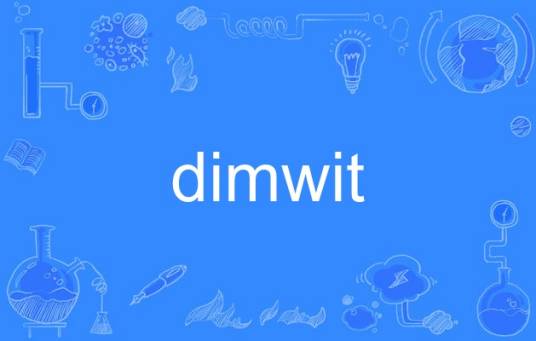 dimwit_百度百科