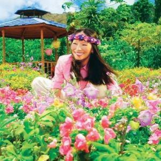 Hex Hector_百度百科