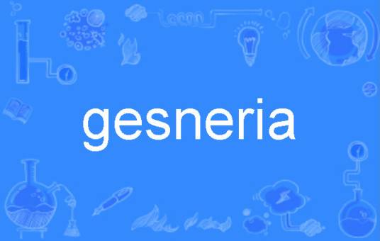gesneria_百度百科