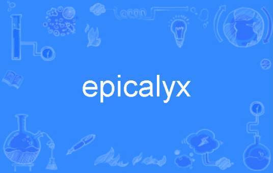 epicalyx_百度百科