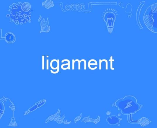 ligament（英语单词）_百度百科