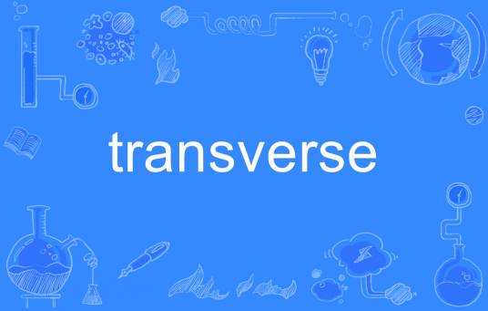 Transverse（英语单词）_百度百科