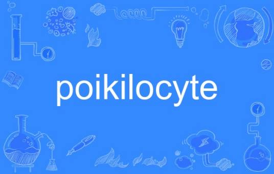 poikilocyte_百度百科