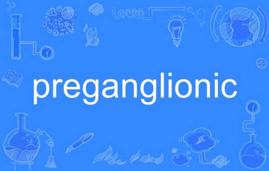 preganglionic_百度百科