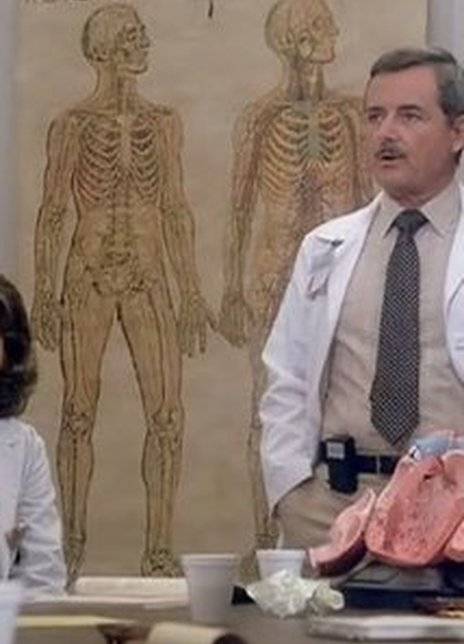 Sagan Lewis_百度百科