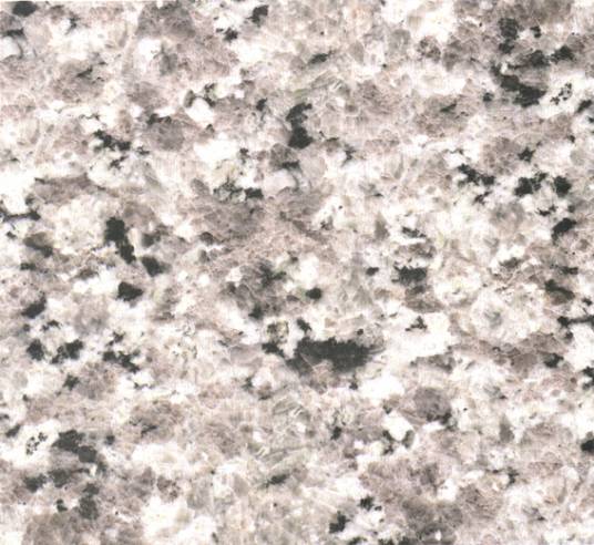 Champagne White_百度百科