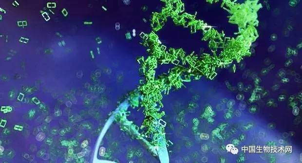 1克DNA将能存储2.2亿部高清电影_百科TA说