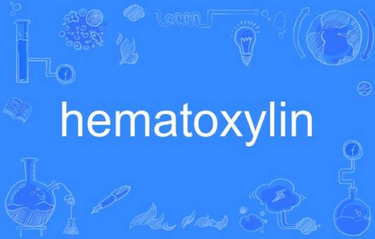 hematoxylin_百度百科