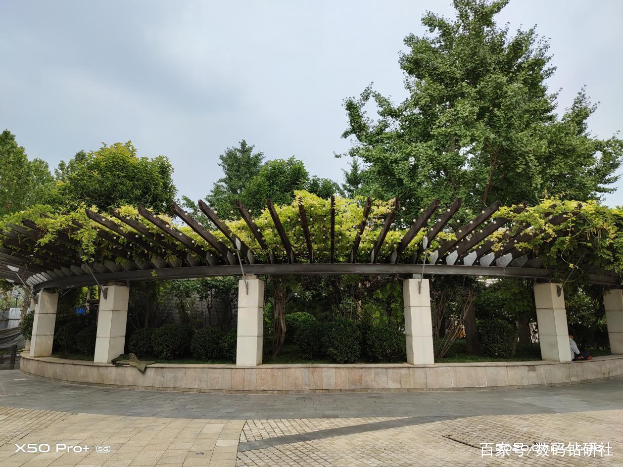 对两款超大杯旗舰“吹毛求疵”，vivo X50 Pro+经受住了考验_百科TA说