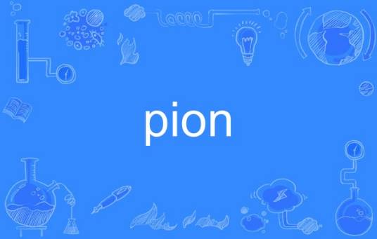 pion_百度百科