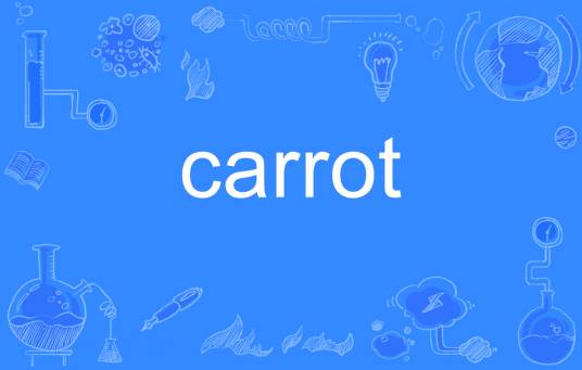 carrot（英语单词）_百度百科