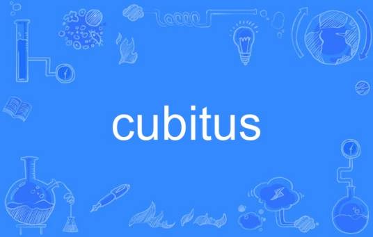 cubitus_百度百科