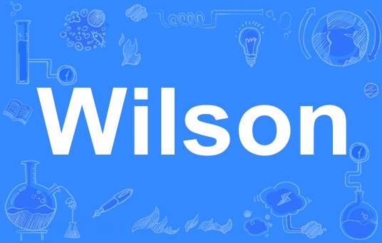 Wilson（英文单词）_百度百科