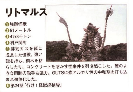 立特玛鲁斯_百度百科