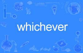 whichever_百度百科