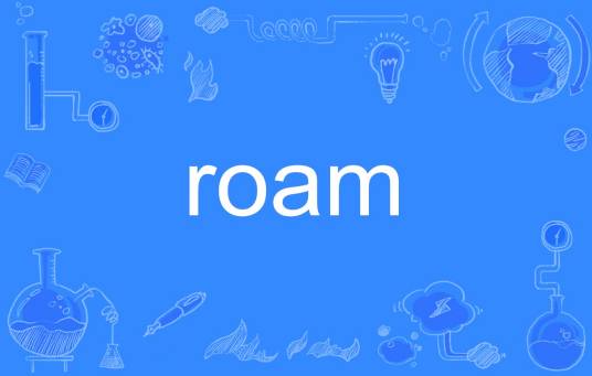 ROAM（英语单词）_百度百科