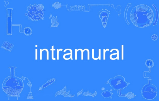 intramural_百度百科