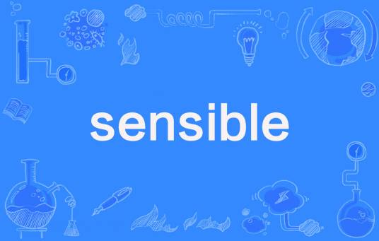 sensible_百度百科