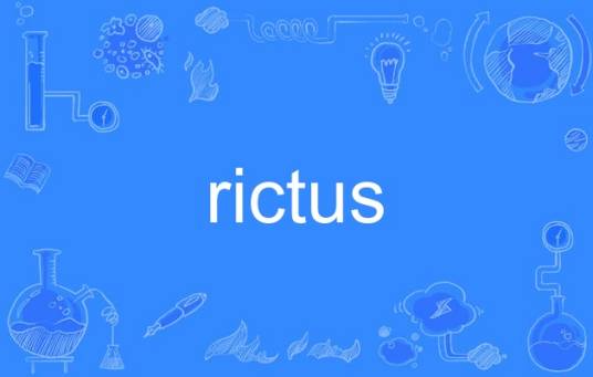 rictus_百度百科