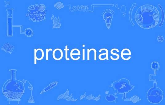 proteinase_百度百科