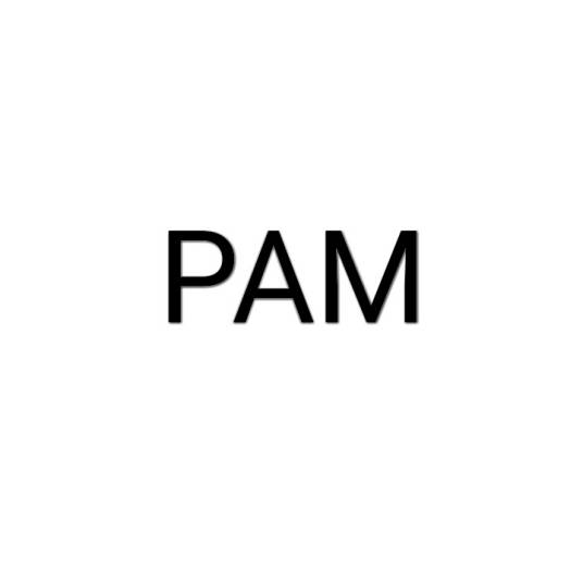 PAM（一种脉冲调制技术）_百度百科