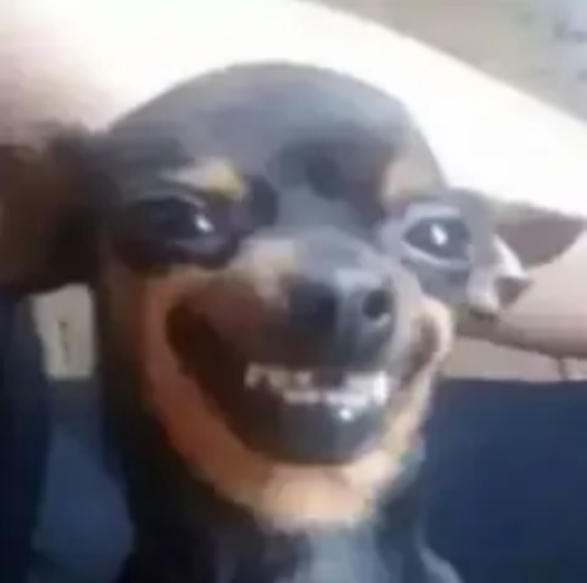 KL_qiqi__百度百科