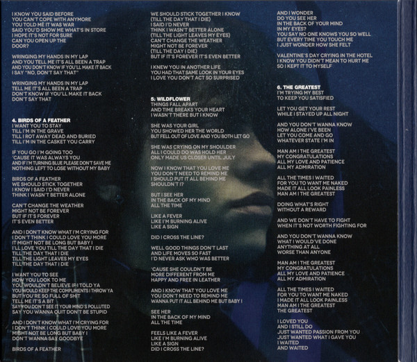 HIT ME HARD AND SOFT_百度百科