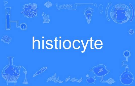histiocyte_百度百科