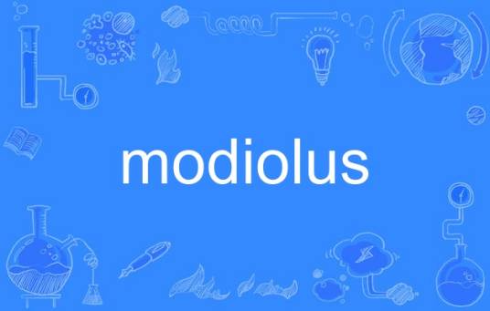 modiolus（英语单词）_百度百科