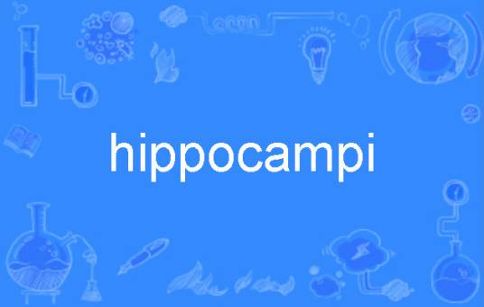 hippocampi_百度百科