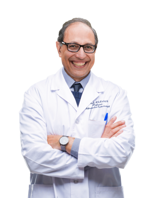 Botros Rizk_百度百科