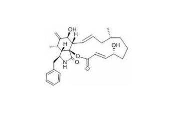 松弛素_百度百科