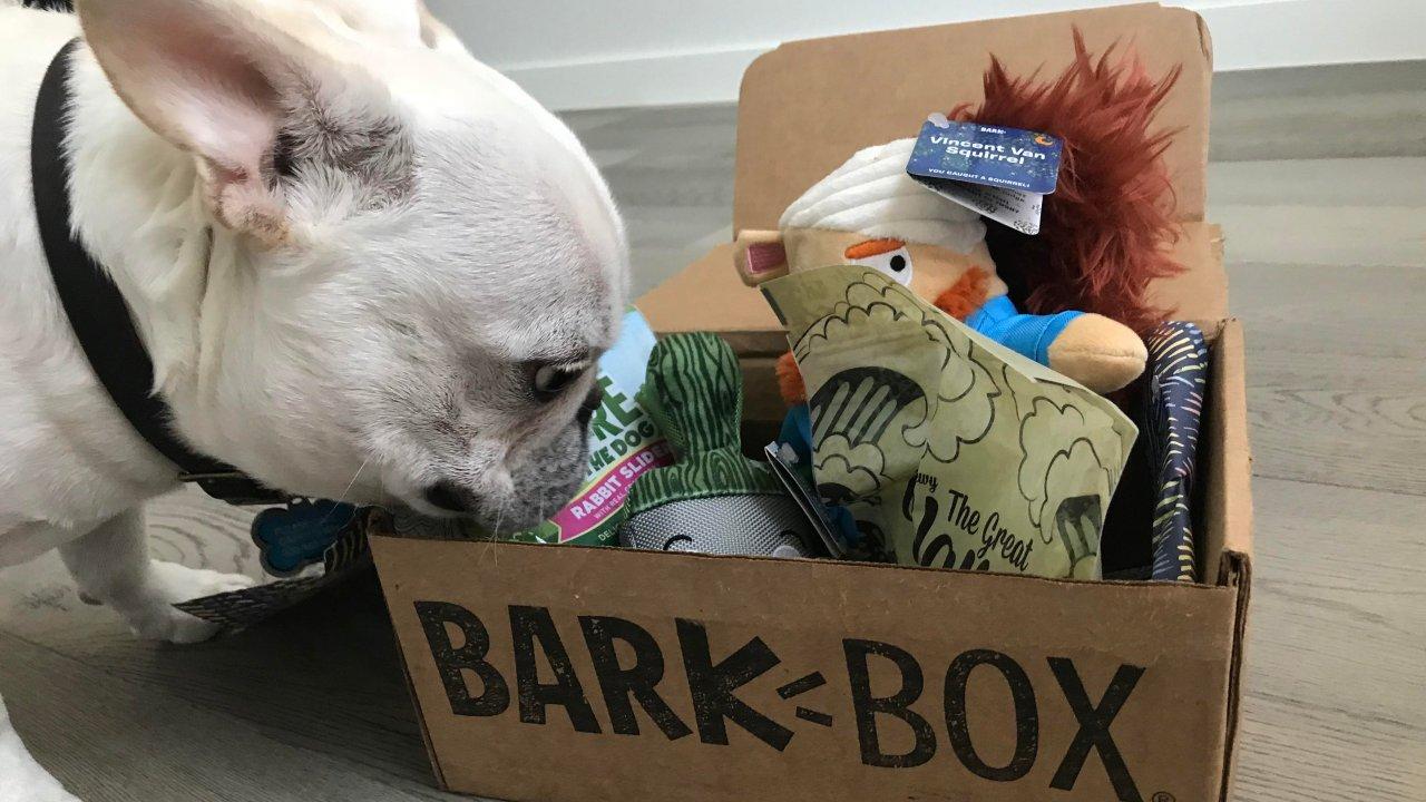单季爆赚超1亿美元，BarkBox的网红套路有多深？宠物经济这样玩_百科TA说