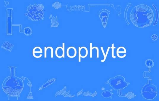 endophyte_百度百科