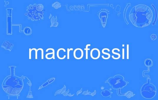 macrofossil_百度百科