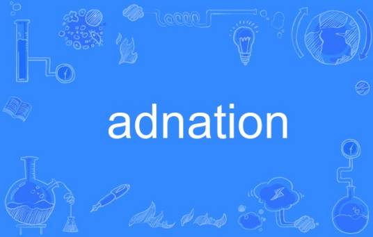 adnation_百度百科