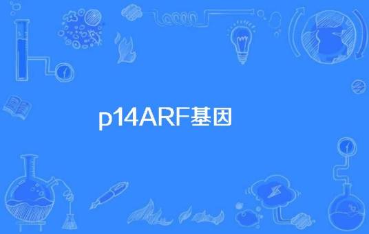 p14ARF基因_百度百科