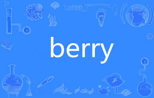 Berry（英语单词）_百度百科
