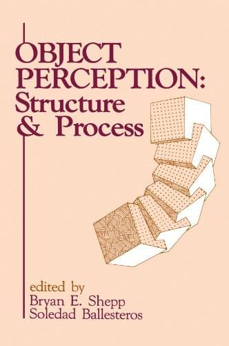 Object Perception_百度百科