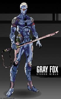 Gray Fox_百度百科