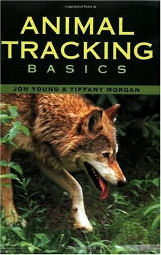 Animal Tracking Basics_百度百科
