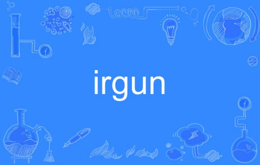 irgun_百度百科